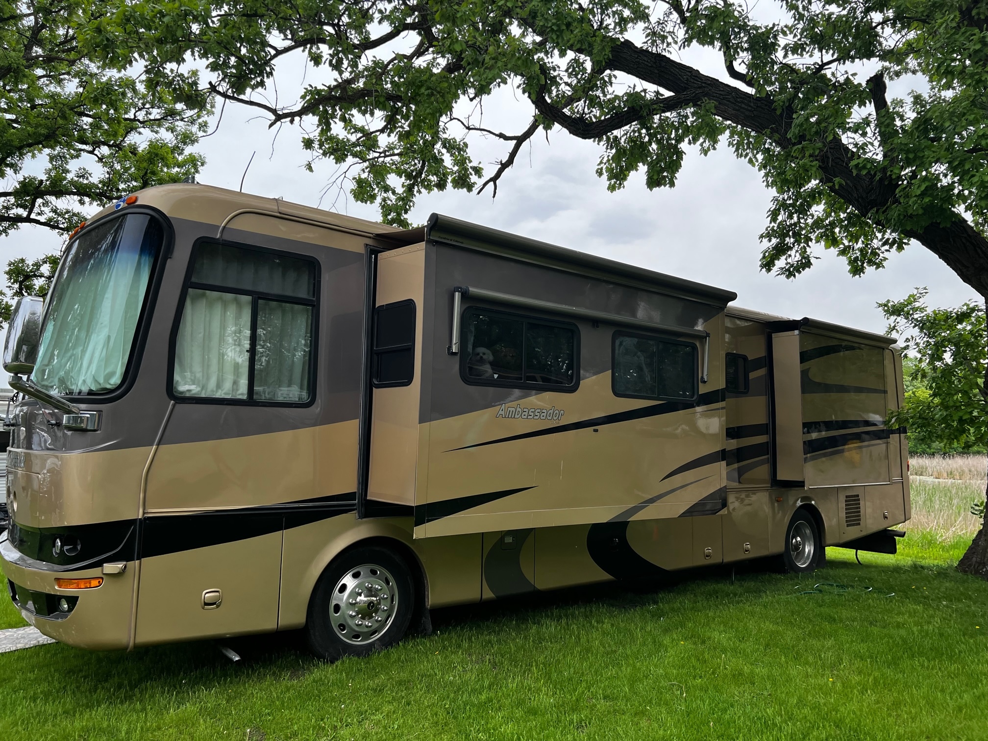 Ambassador For Sale - Holiday Rambler RVs Near Me - RV Trader